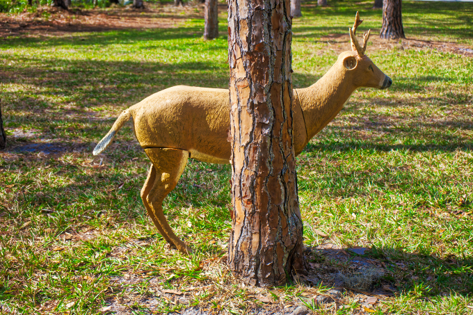 fake deer – Folksblogen